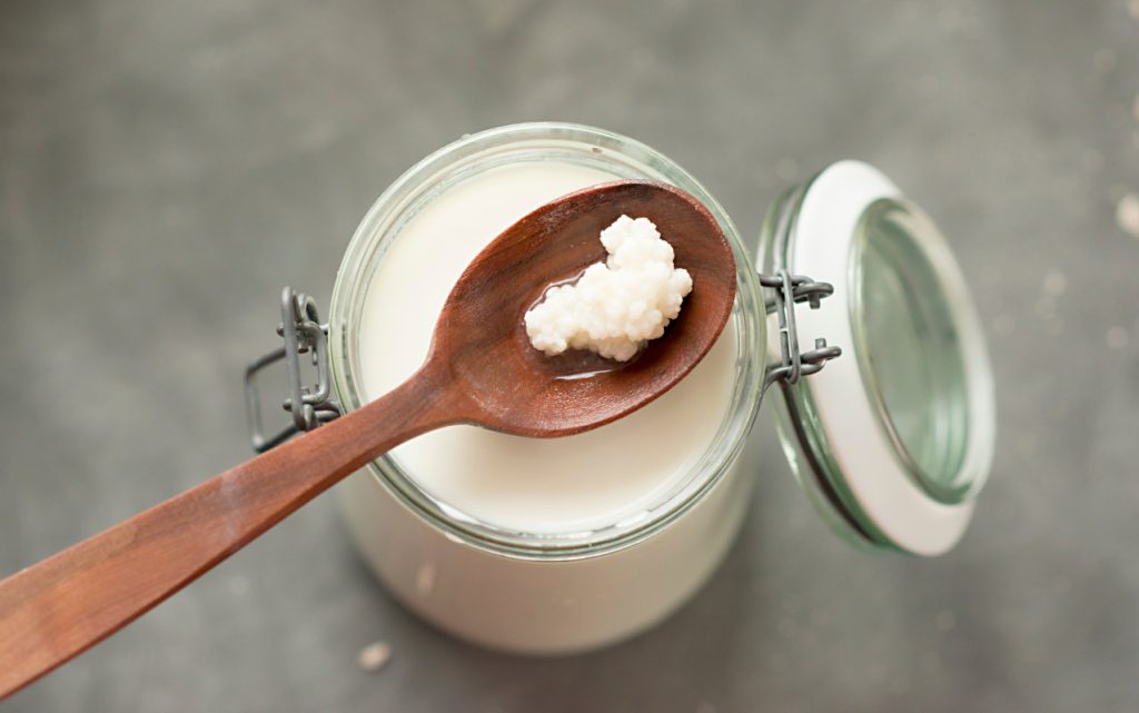 Le Kefir de Lait - Vidya-Shop